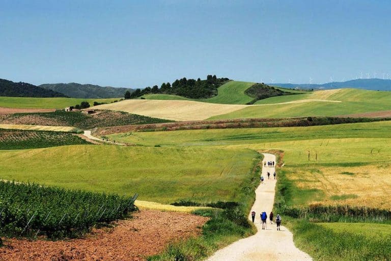 Do You Dream Of Walking The Camino De Santiago In Spain?