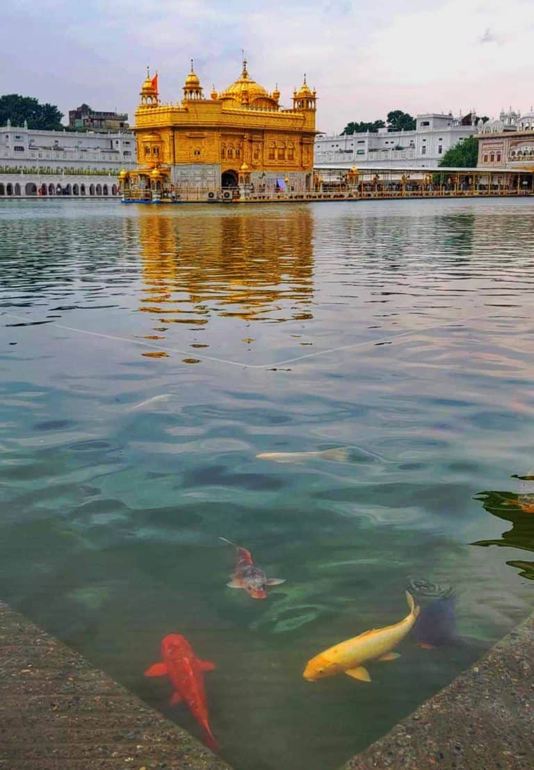 Visiting the Golden Temple in Amritsar : All You Need to Know