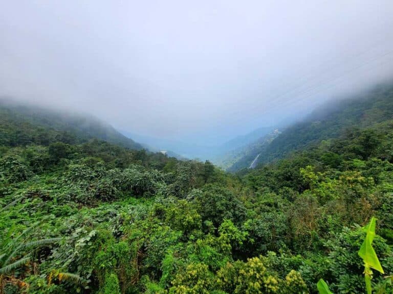 How To See Hai Van Pass : The World's Most Scenic Road?