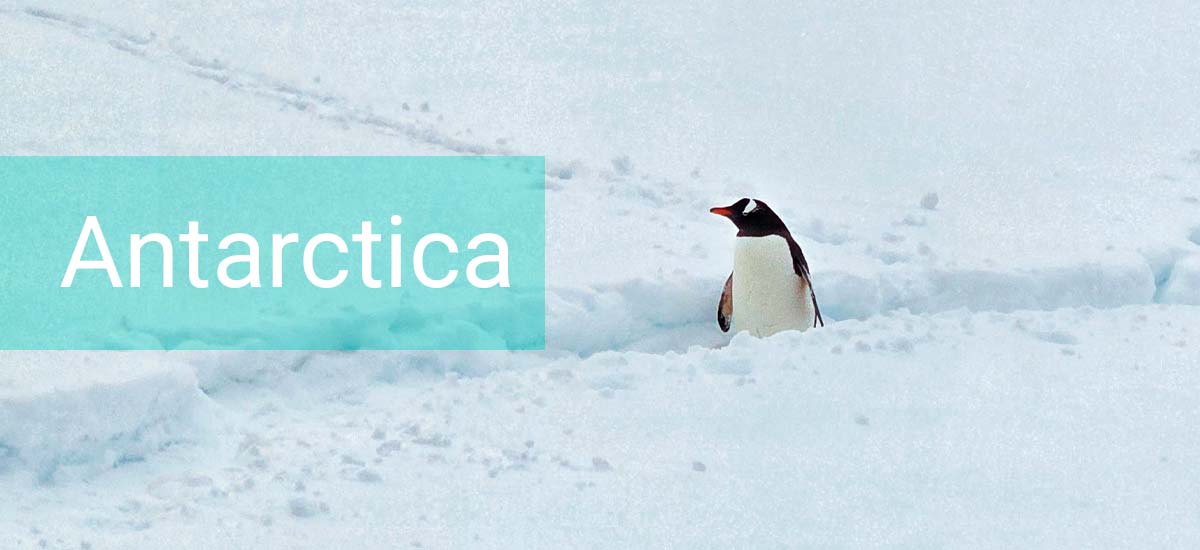 Antarctica: Our Complete Guide To The White Continent